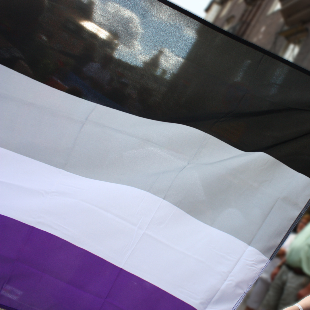 Ace Week 2022 - Prout at Work